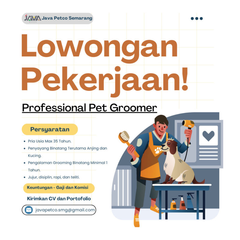 Lowongan Kerja Professional Pet Groomer di Java Petco Semarang - LokerSemar.id