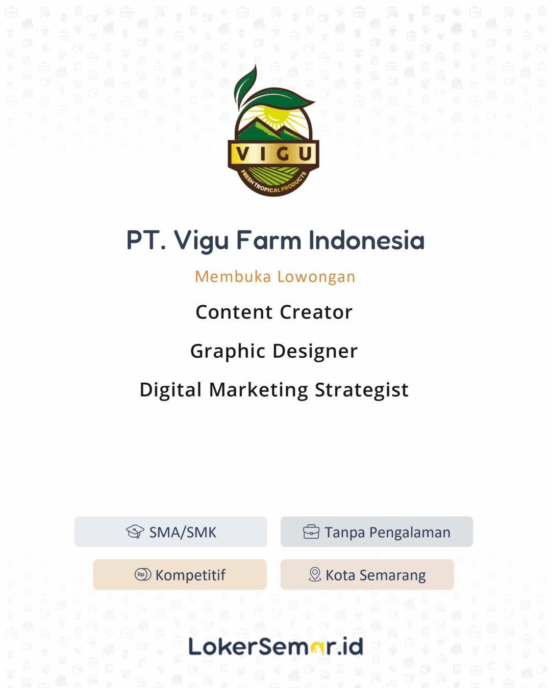 Lowongan Kerja Content Creator - Graphic Designer - Digital Marketing ...