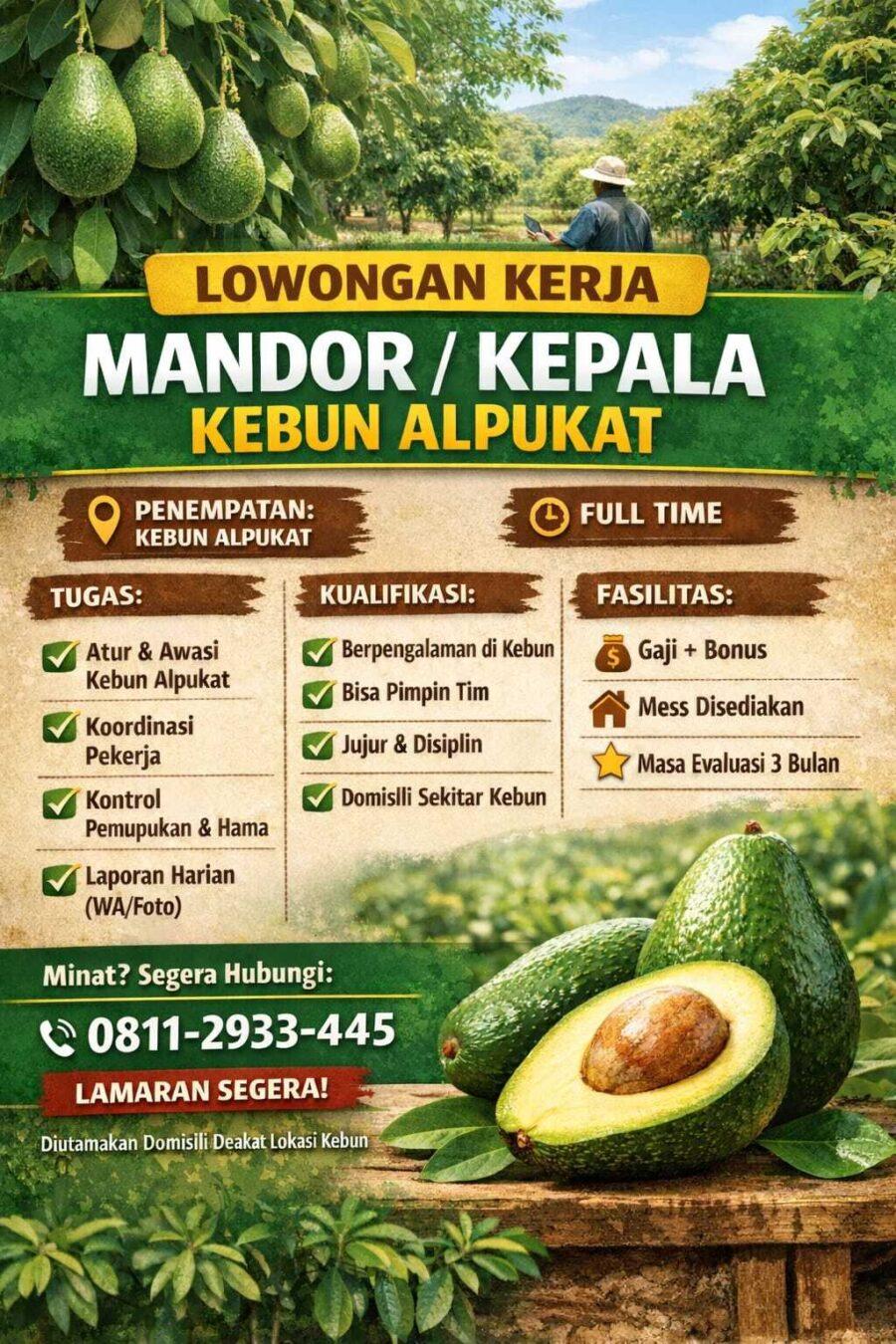 Lowongan Kerja Mandor/ Kepala Kebun Alpukat di Pandawa Farm - LokerSemar.id
